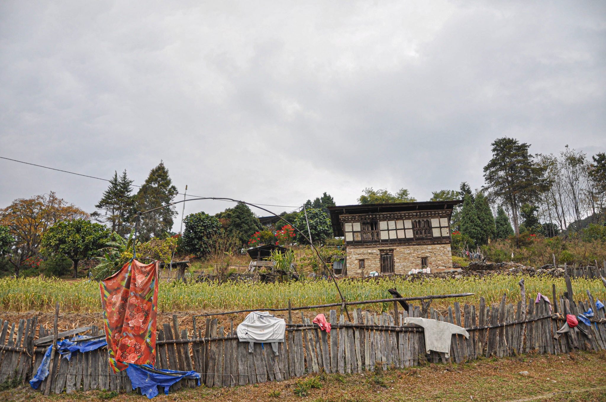 The Elusive Community of Buli, Zhemgang - Yee Getaway Yee Getaway