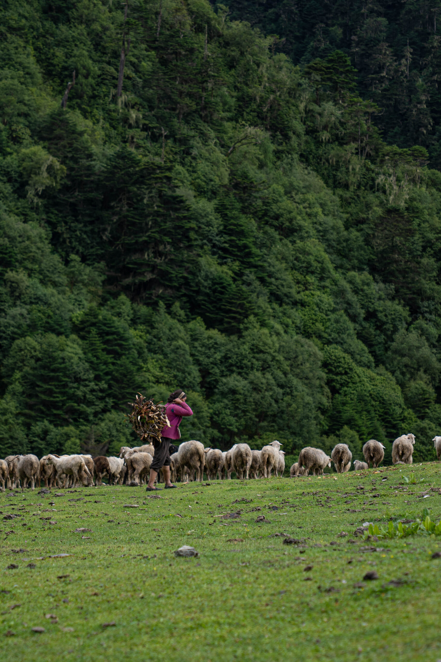 Welcome to the Highlands in Bhutan - Merak Sakteng Series 2 - Yee ...
