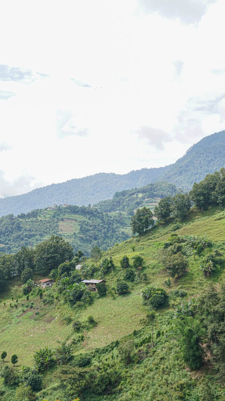 Aja Ney - A Pilgrimage Journey - Yee Getaway Yee Getaway