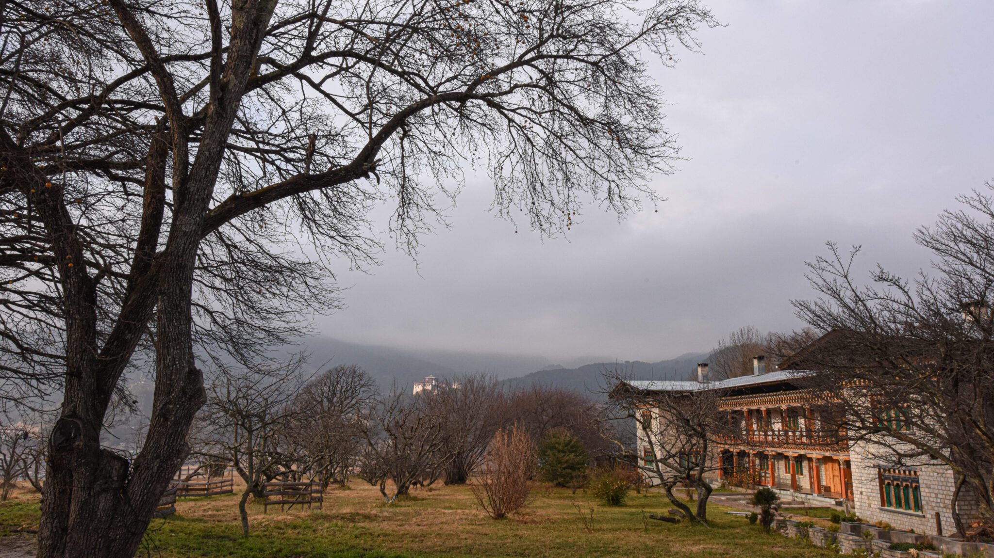 Bumthang Good Food & Beer at the Swiss Guest House - Yee Getaway
