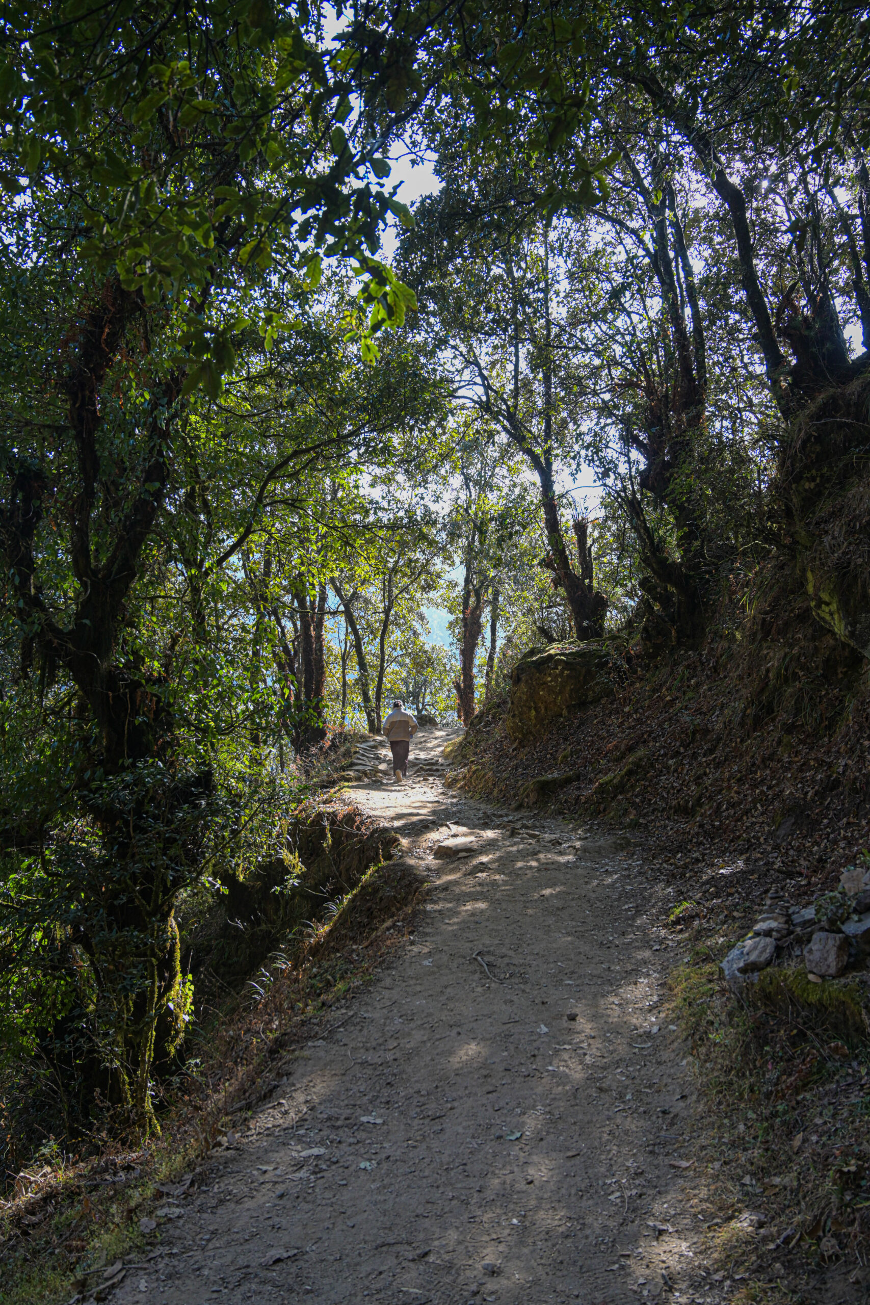 Tranquil hike towards Cheri Monastery - Yee Getaway Yee Getaway